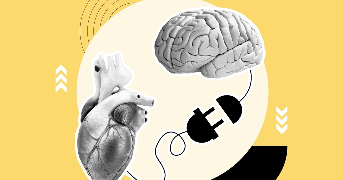 10 neurowetenschappelijke inzichten die je productiever maken